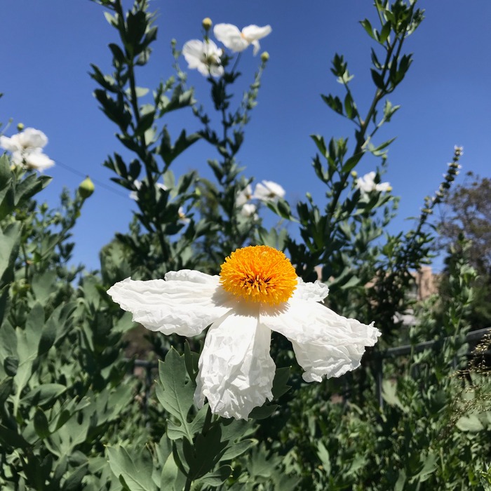 Inside | jessielu | Commaful