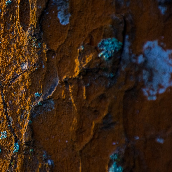 Forever Rusted Beauty | aehrhard | Commaful