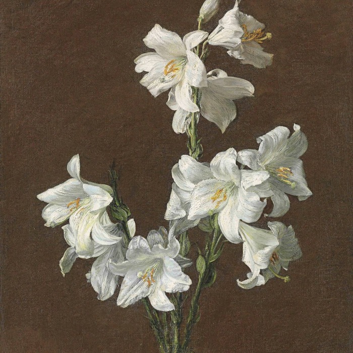 Gilded Lily Stories On Commaful